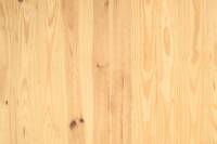 Madeira Pinus: saiba quais são as vantagens e cuidados6 min leitura